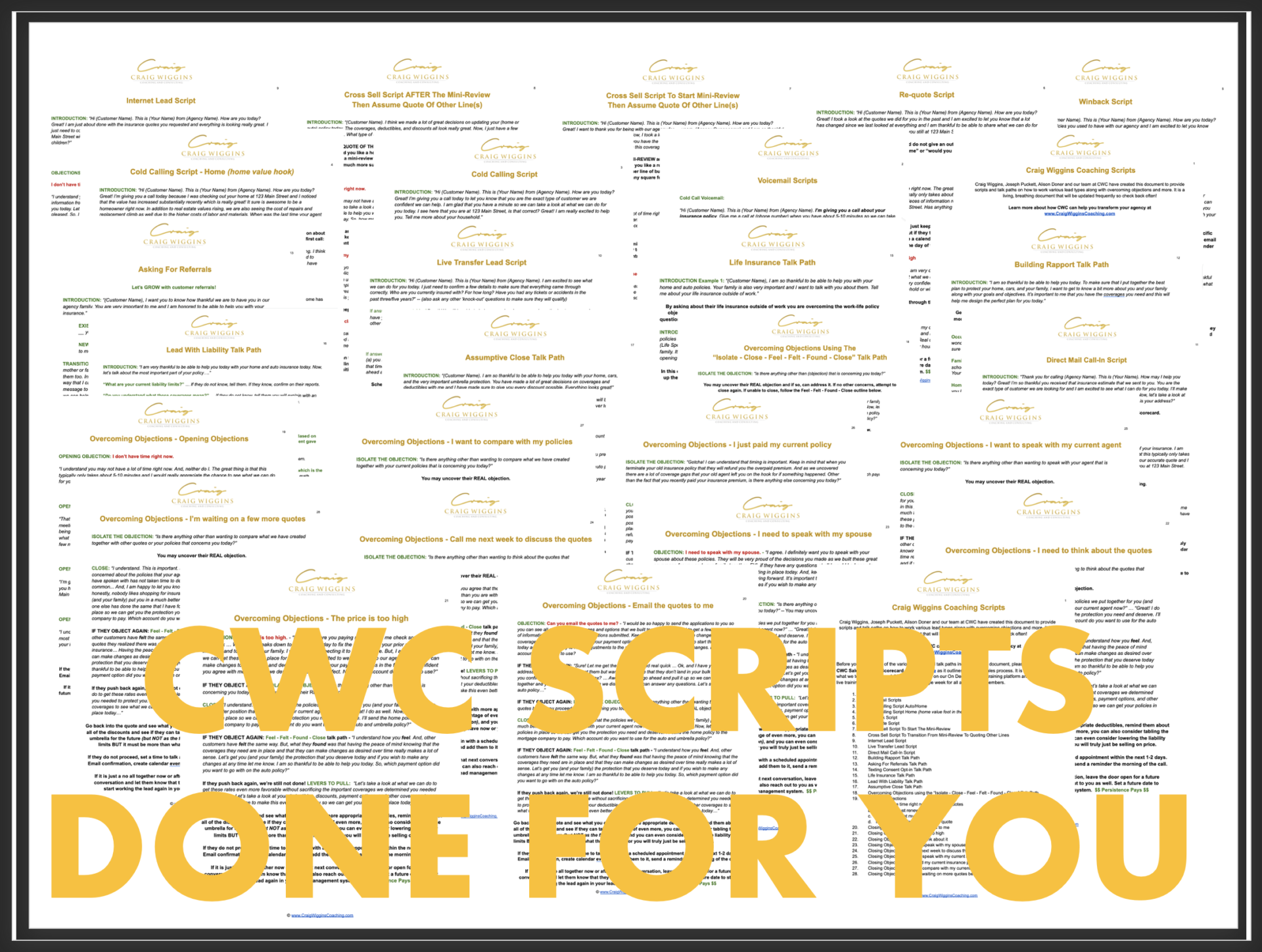 Script Lead Magnet – Craig Wiggins Coaching & Consulting
